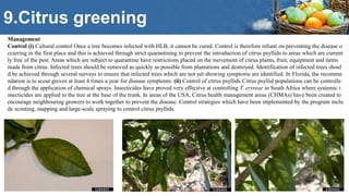 Major fruits - insect pest management , | PPTX