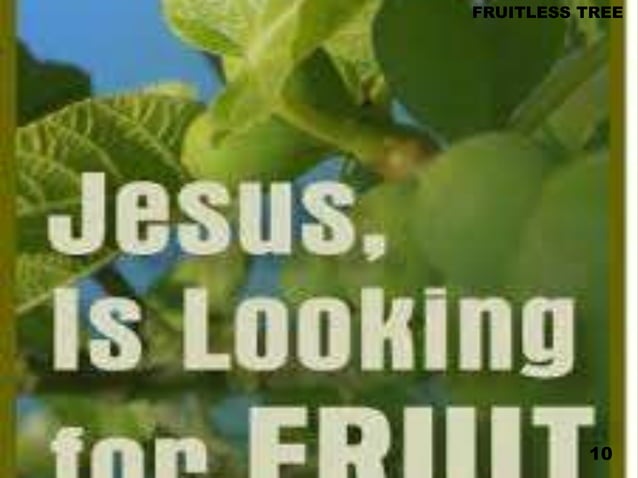 FRUITLESS TREE | PPT
