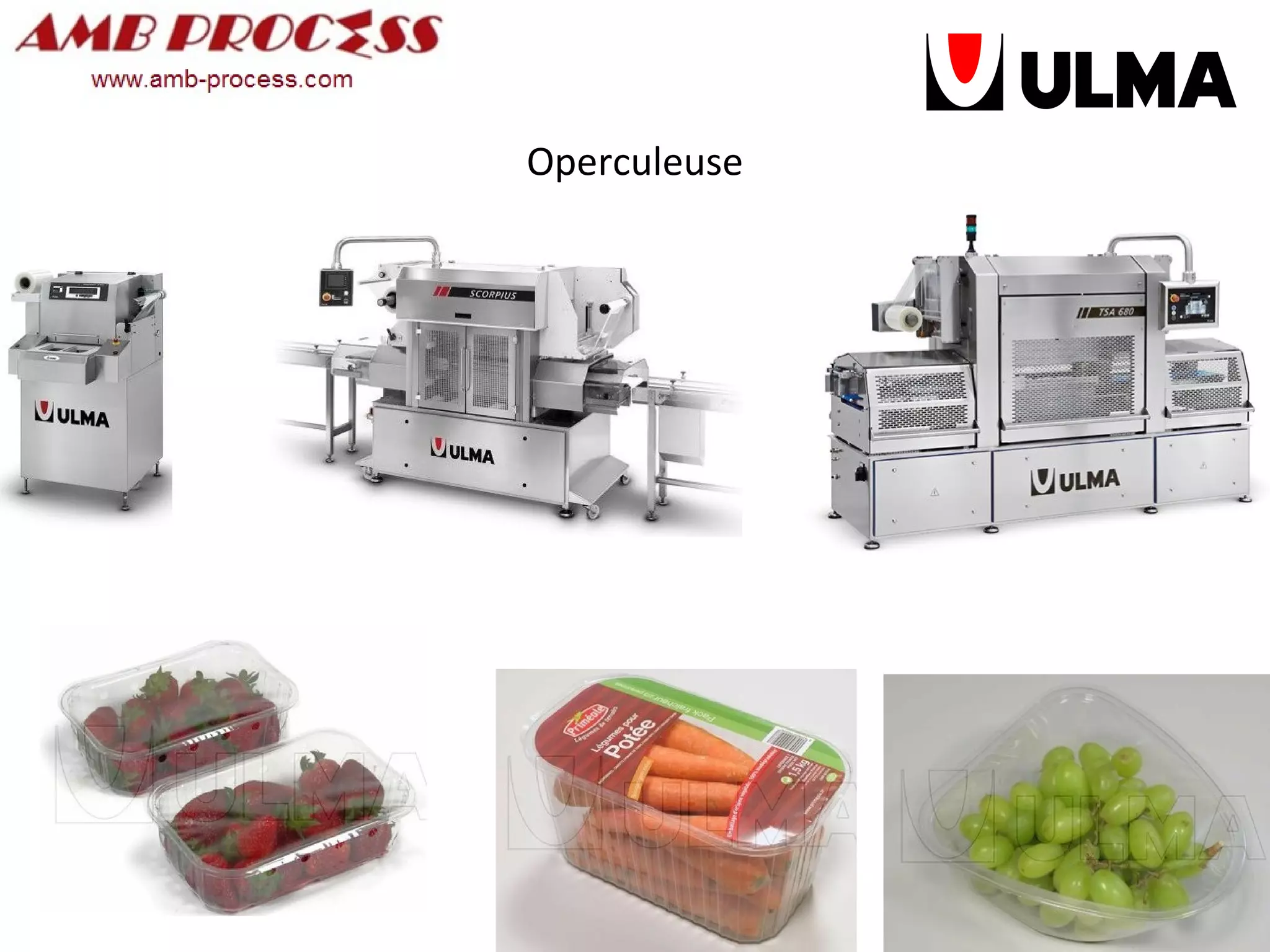 Fruit légume amb process | PPT