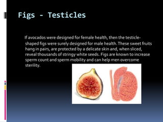 God Pharmacy fruit and vegetable resembles human body part have a look ...