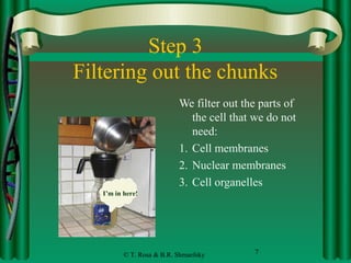 Simple DNA Extraction Background | PPT