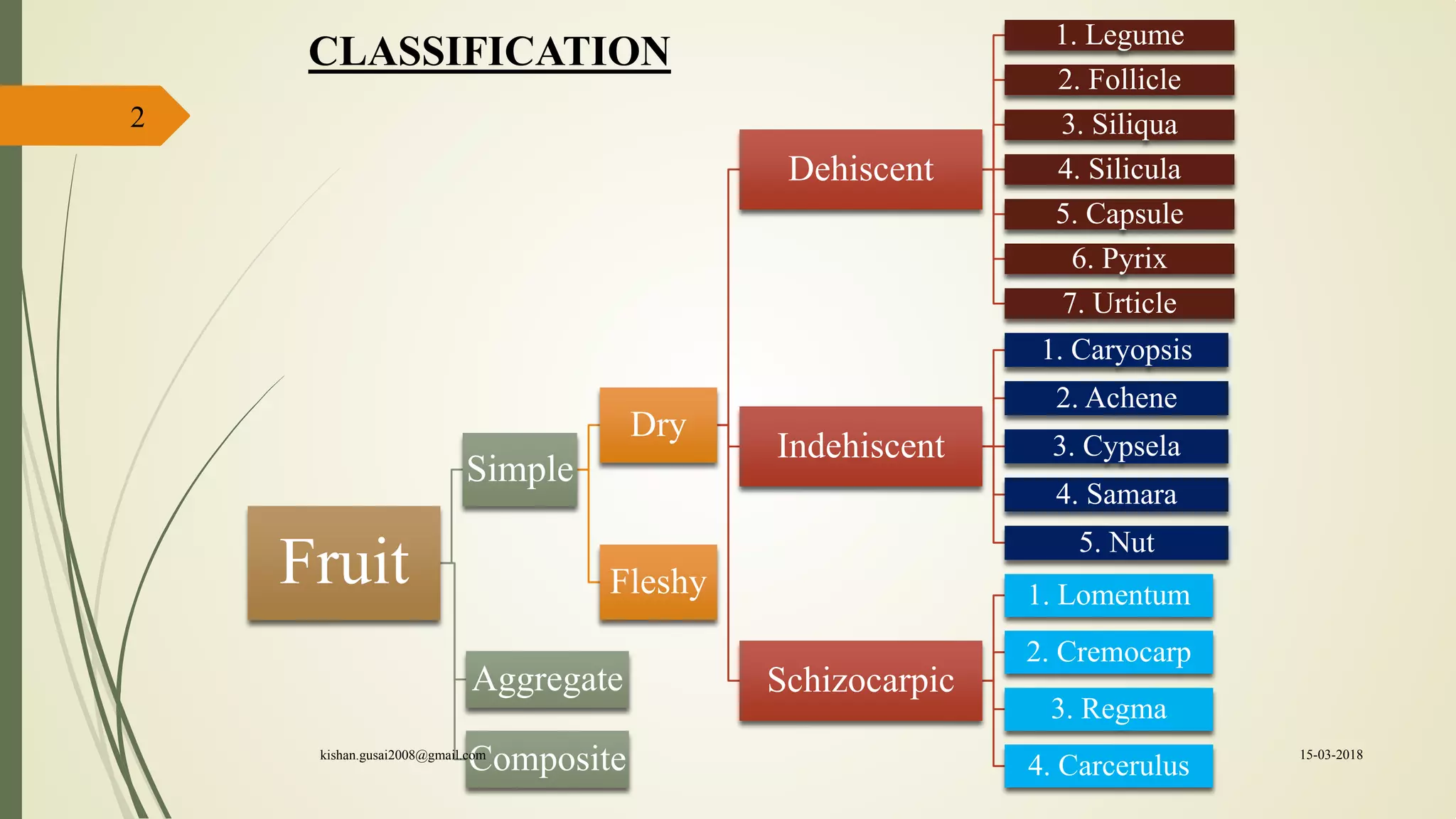 Fruit morphology and botanical classification | PDF