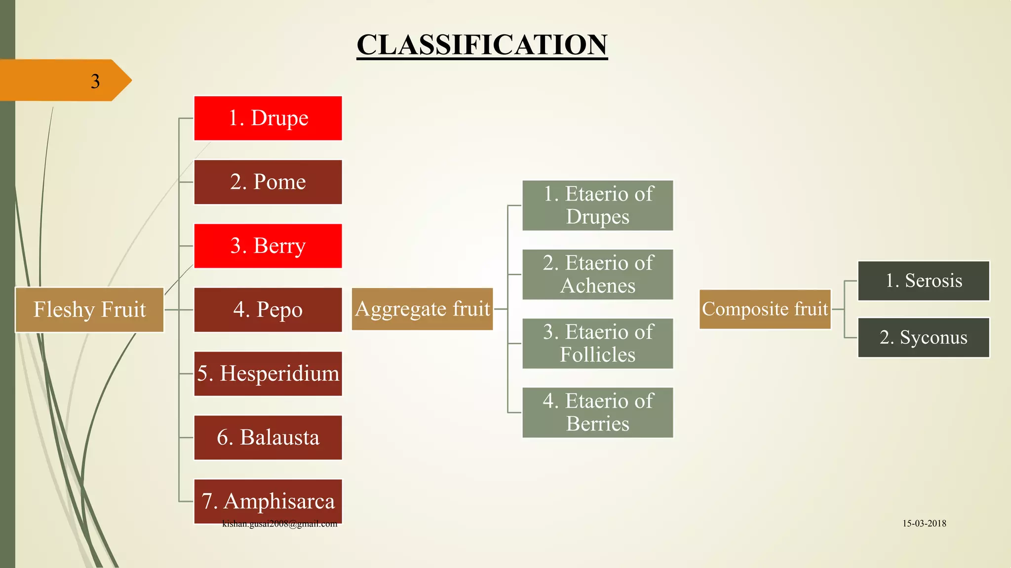 Fruit morphology and botanical classification | PDF