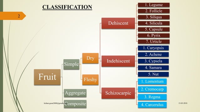 Fruit morphology and botanical classification | PDF | Gardening | Home ...
