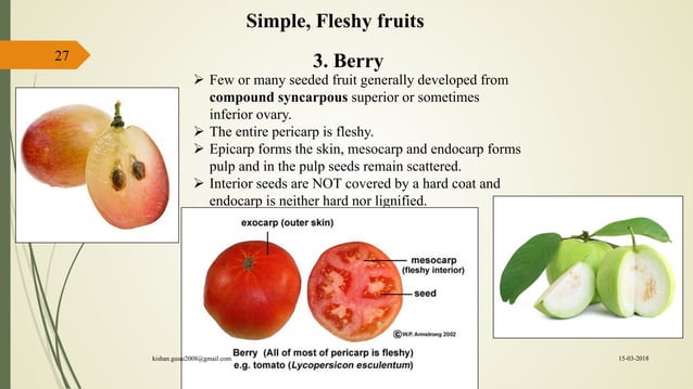 Fruit morphology and botanical classification | PDF | Gardening | Home ...