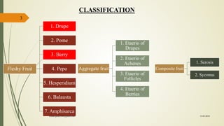 Fruit morphology and botanical classification | PDF