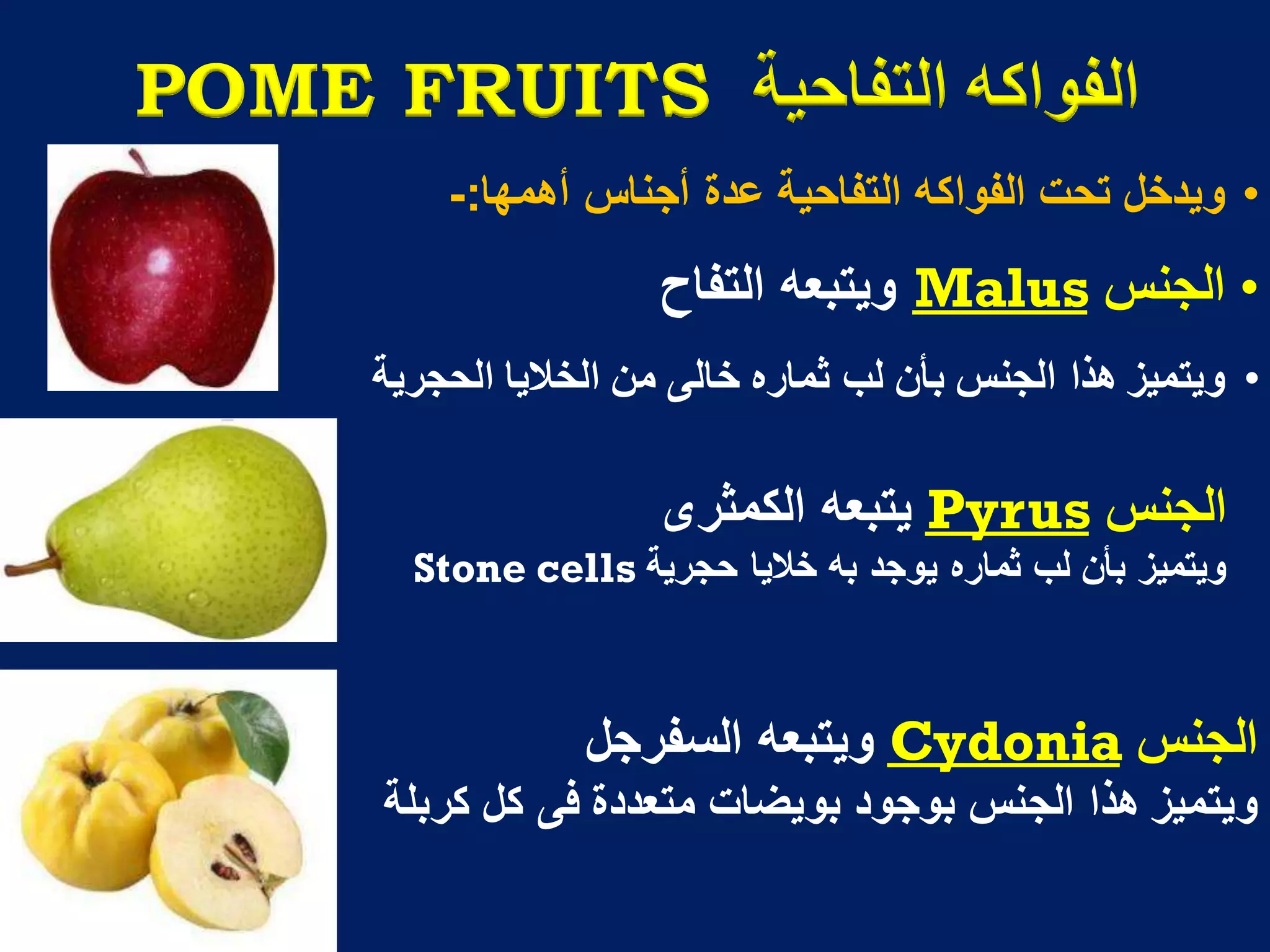 Fruit of temperate and cold regions.pdf | Free Download