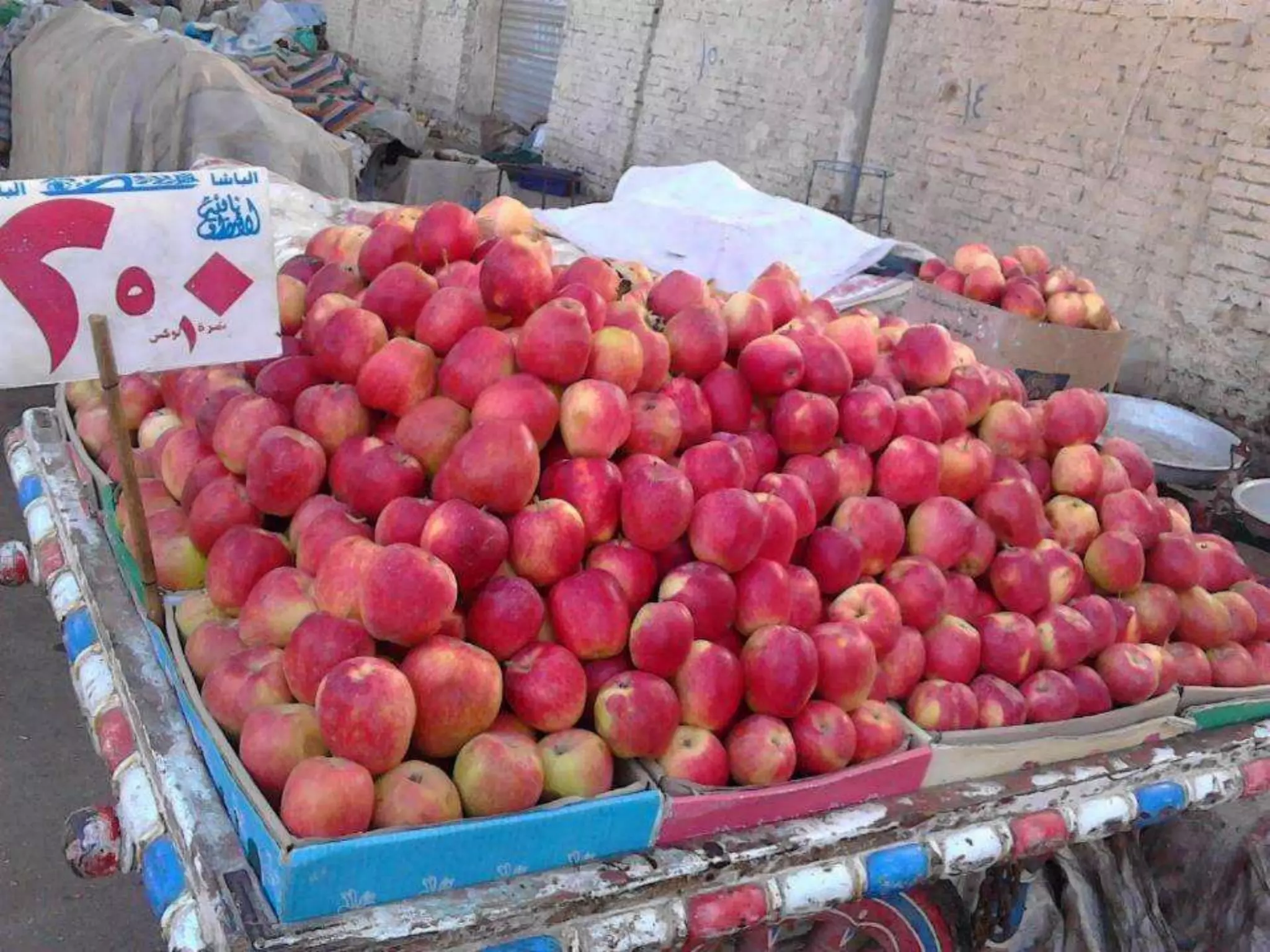 Fruit of temperate and cold regions.pdf