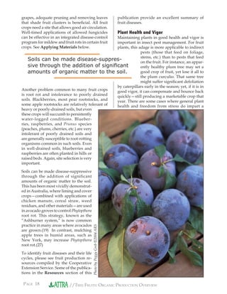 Tree Fruits: Organic Production Overview | PDF