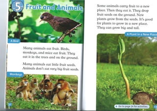 Oxford Read and Discover: Fruit | PDF
