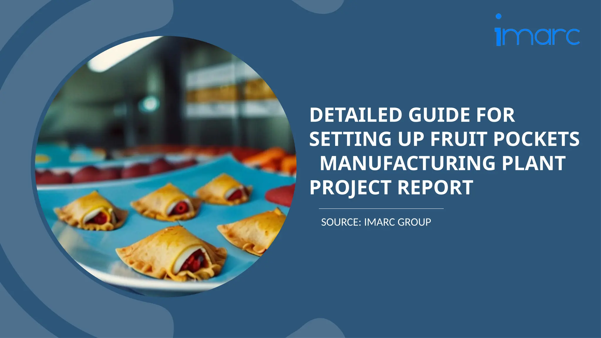 Fruit Pockets manufacturing plant project report.pptx