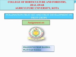 Fruit pollination | PPT