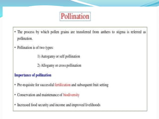 Fruit pollination | PPT