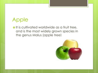 Fruit powerpoint | PPTX