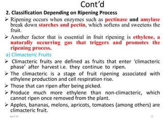 Fruit ppt for Horti.pptyfddtfhutfdedwded | PPT