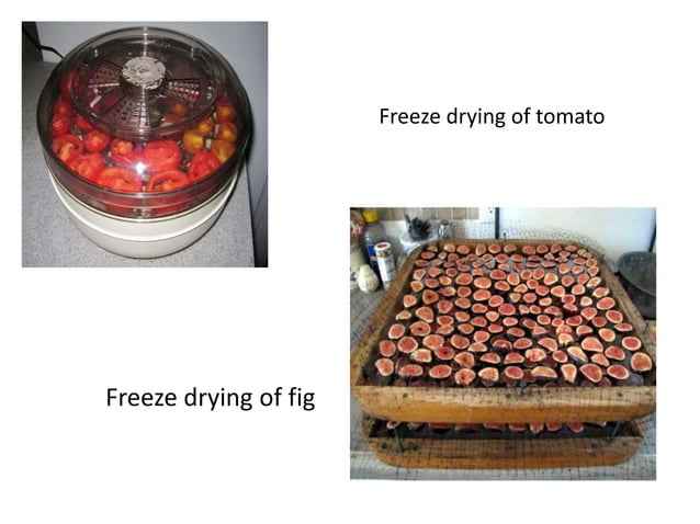 Fruit preservation | PPTX | Healthy Cooking and Eating | Food & Drink