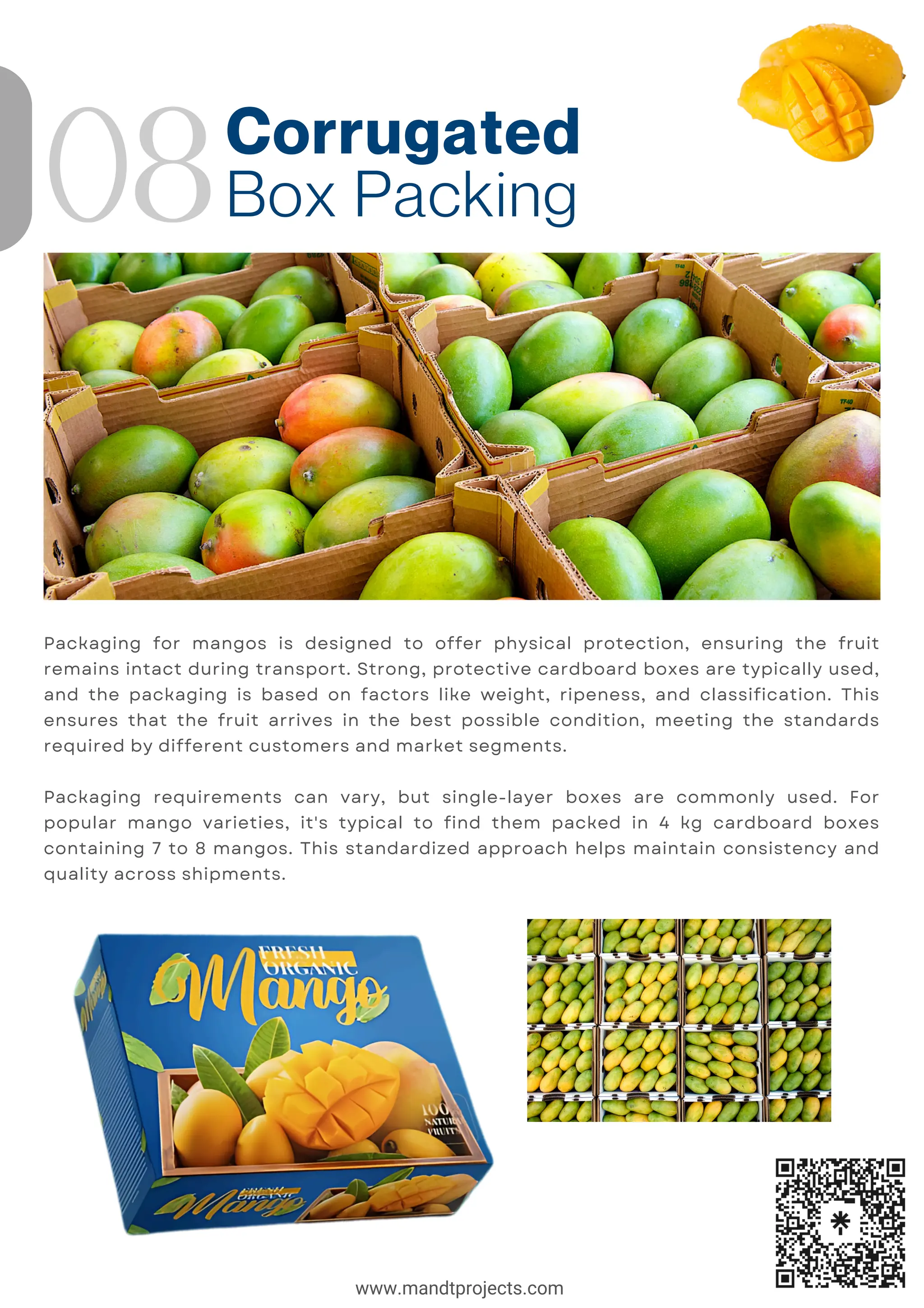 mango processing line, Pineapple Processing Line, Orange Processing Line | PDF