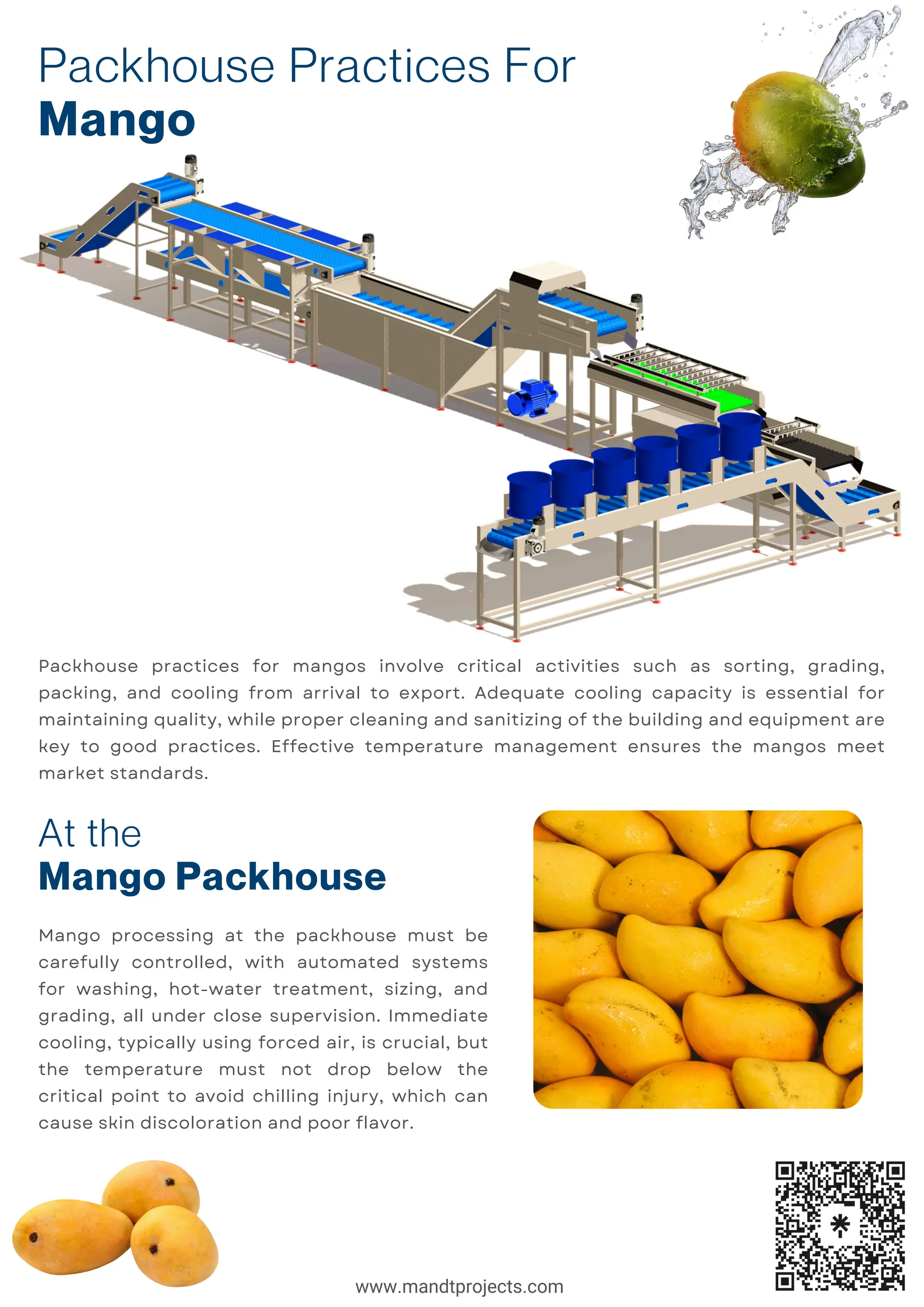 mango processing line, Pineapple Processing Line, Orange Processing Line | PDF