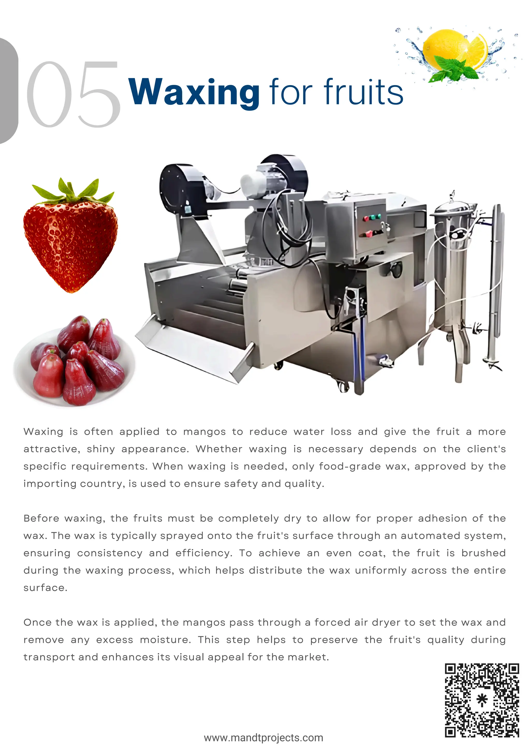 mango processing line, Pineapple Processing Line, Orange Processing Line | PDF