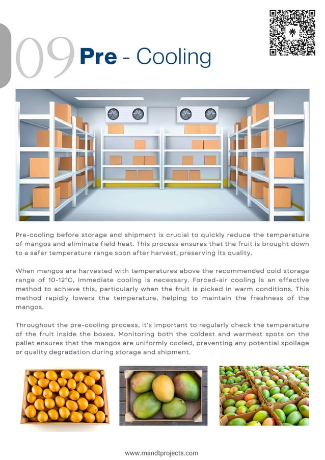mango processing line, Pineapple Processing Line, Orange Processing Line | PDF