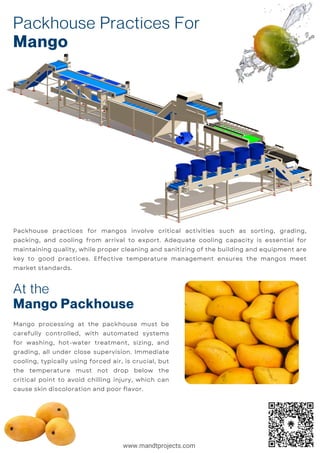 mango processing line, Pineapple Processing Line, Orange Processing ...
