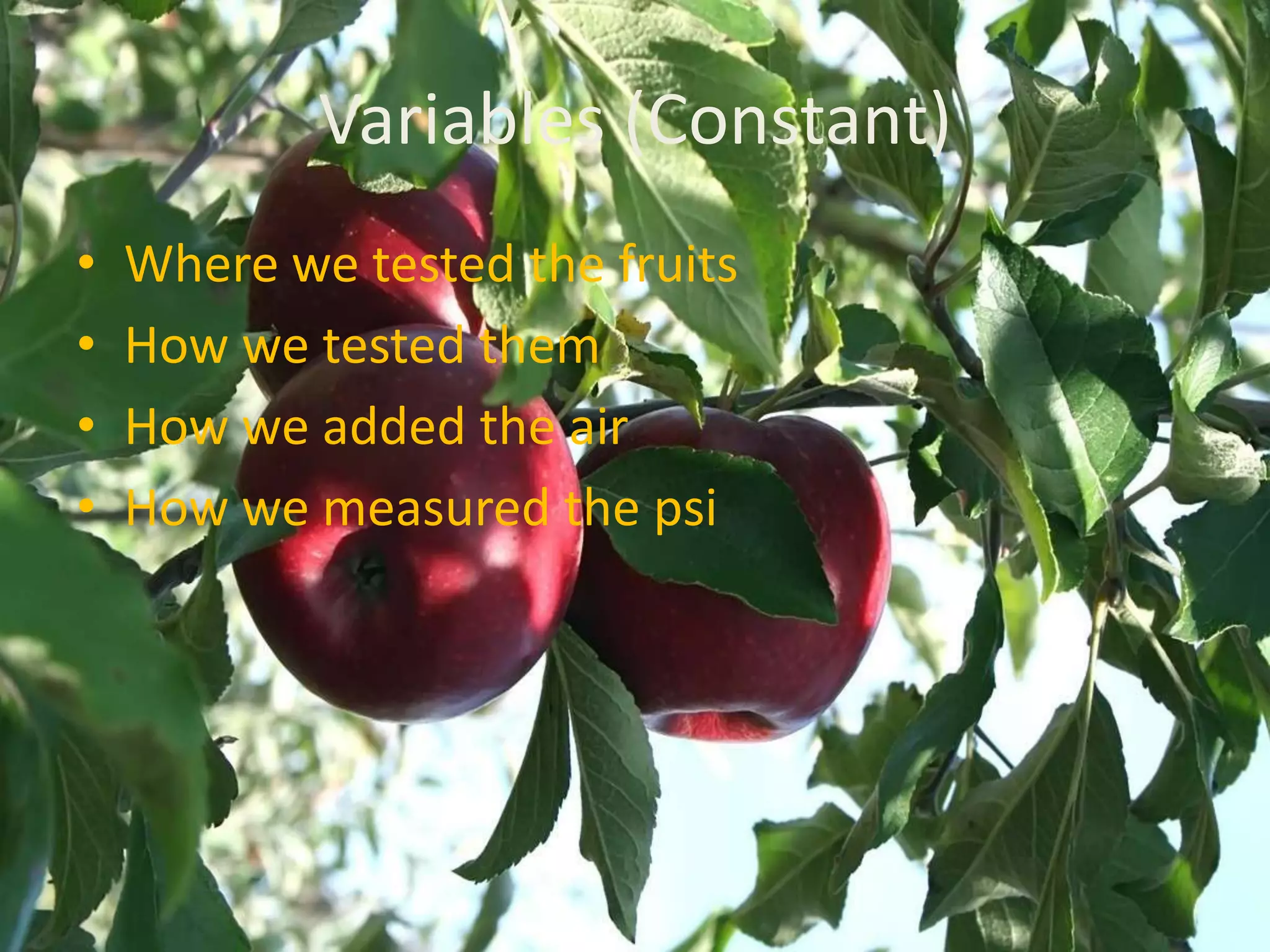 Fruit project powerpoint | PPTX