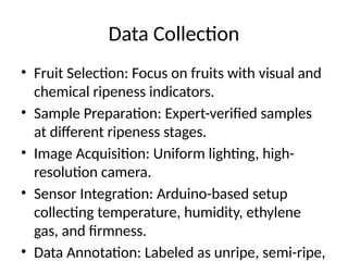 Fruit_Ripeness_Detection_Presentation.pptx