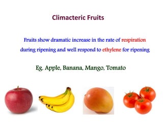 Fruit ripening | PPTX