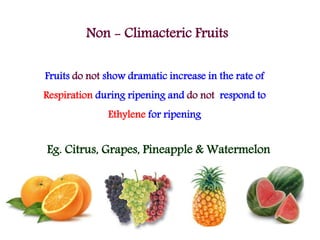 Fruit ripening | PPTX
