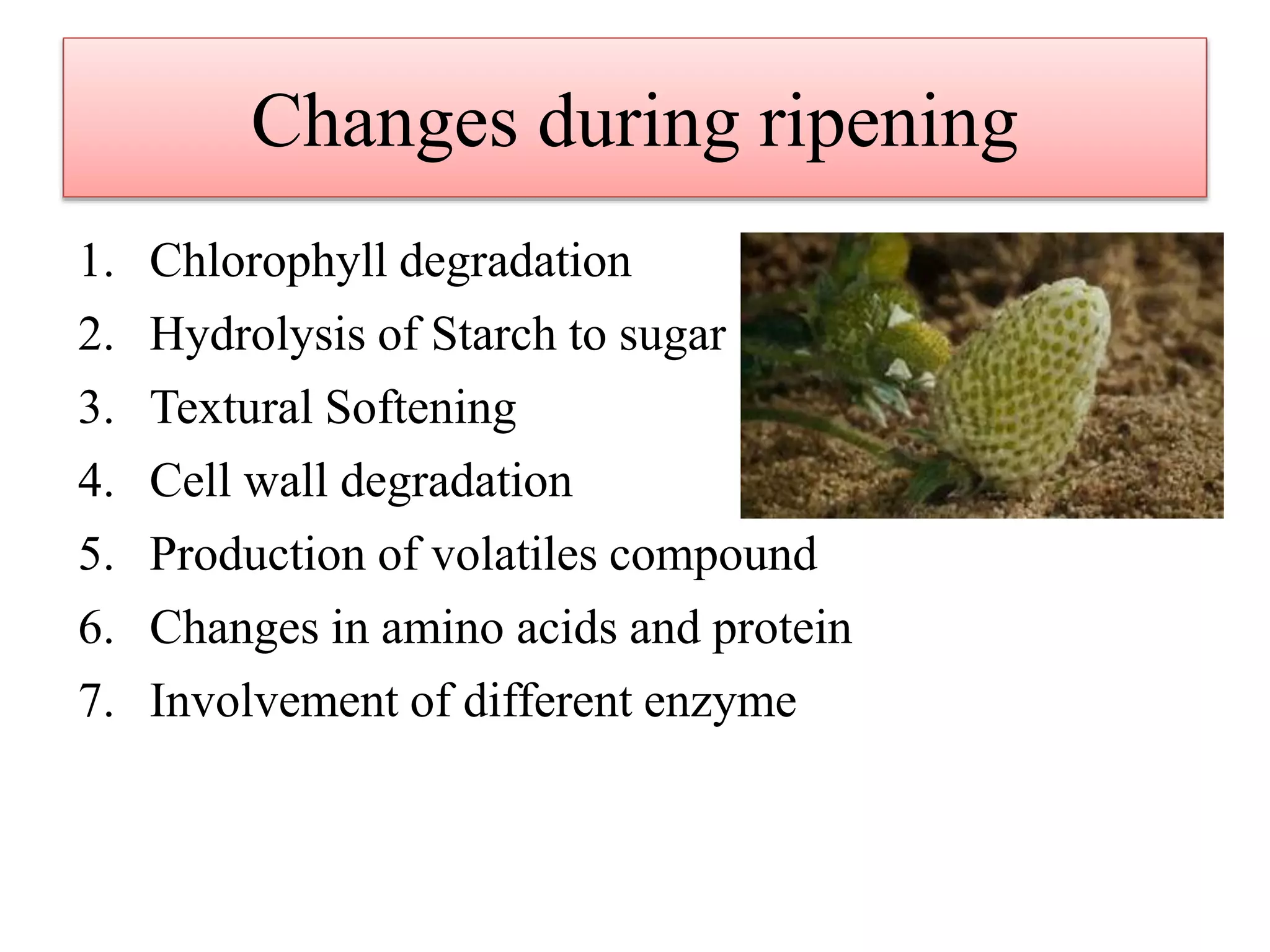 Mechanism of Fruit ripening | PPTX