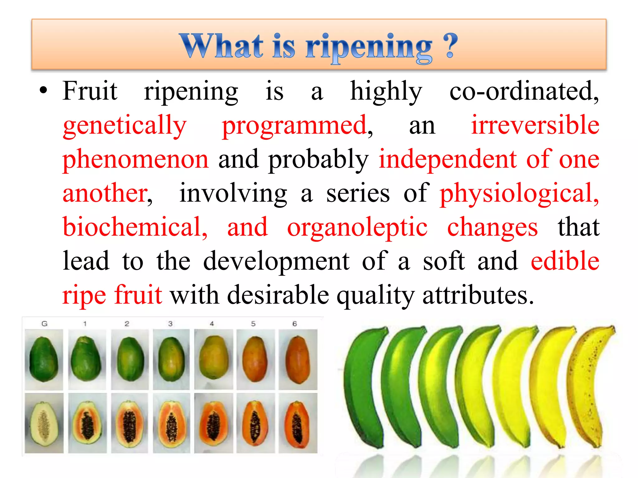 Mechanism of Fruit ripening | PPTX