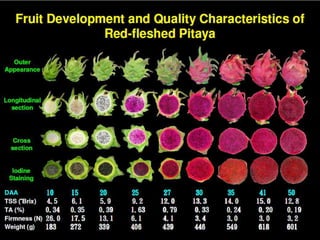 Mechanism of Fruit ripening | PPTX