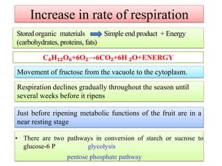 Mechanism of Fruit ripening | PPTX