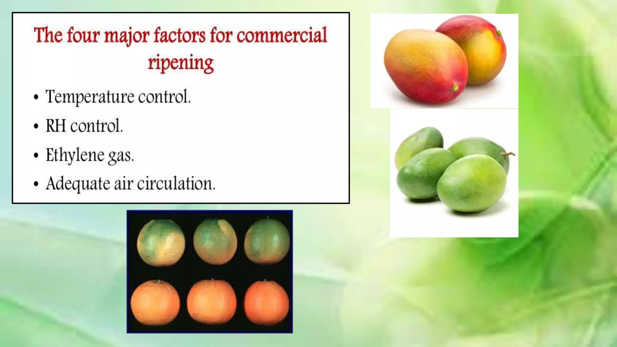 Fruit Ripening and Changes occurring during Ripening | PPTX