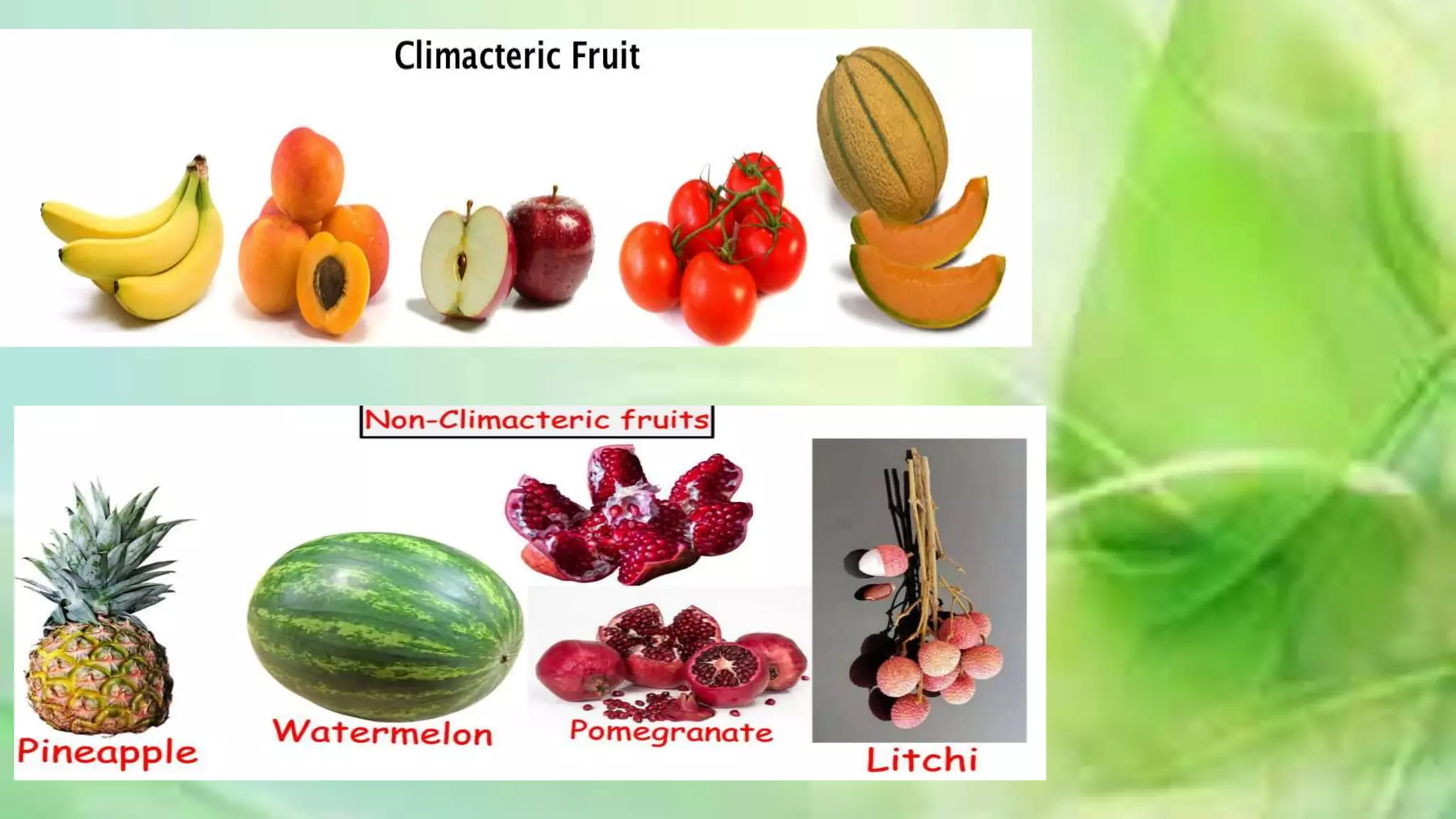 Fruit Ripening and Changes occurring during Ripening | PPTX