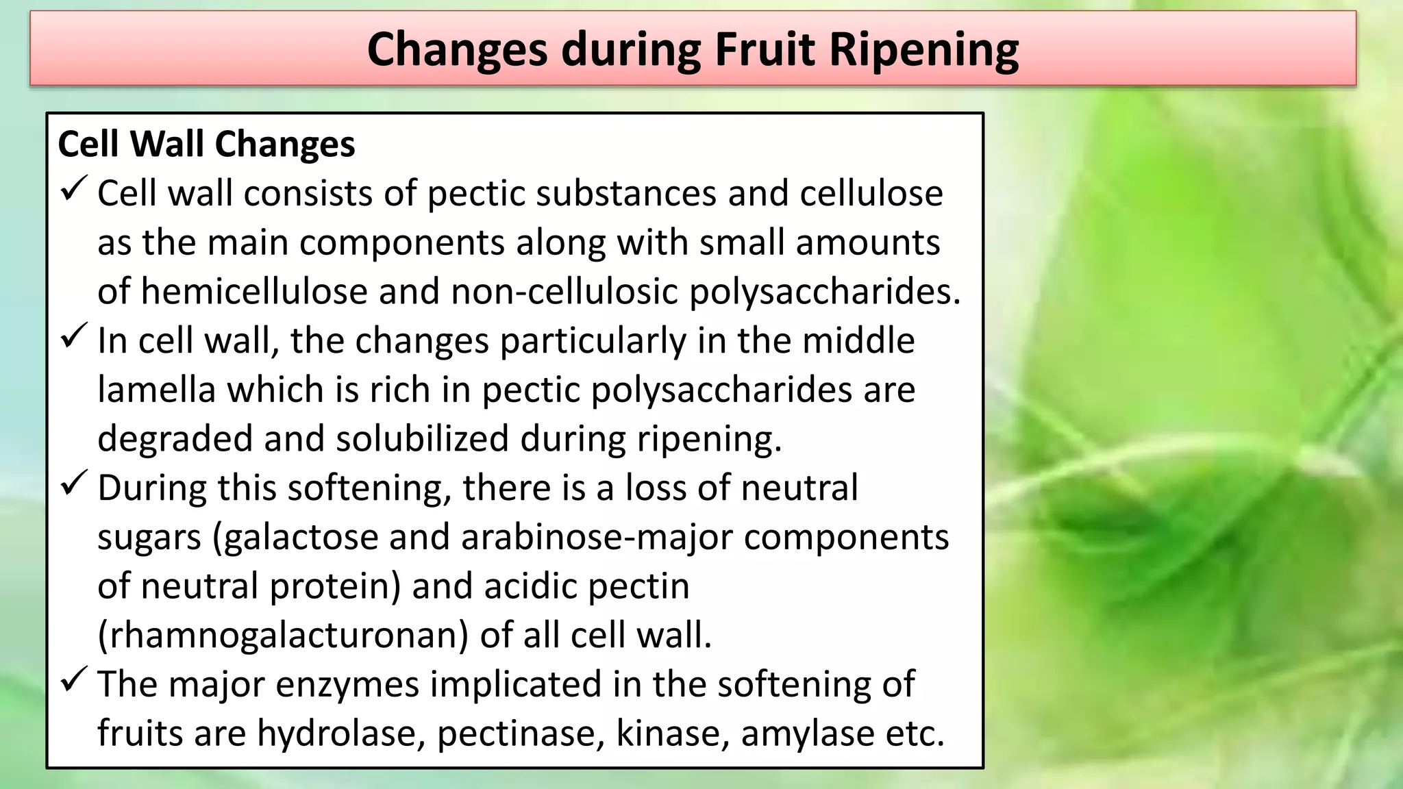 Fruit Ripening and Changes occurring during Ripening | PPTX