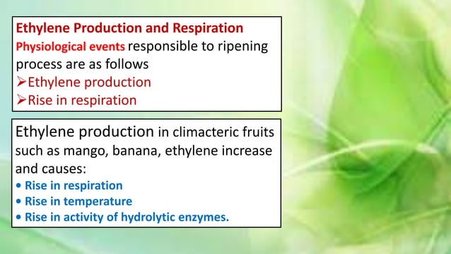 Fruit Ripening and Changes occurring during Ripening | PPTX | Gardening ...