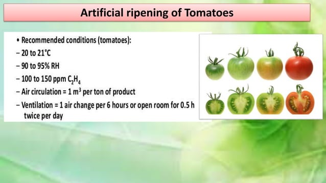 Fruit Ripening and Changes occurring during Ripening | PPTX | Gardening ...