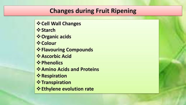 Fruit Ripening and Changes occurring during Ripening | PPTX | Gardening ...