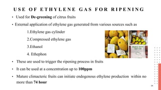 Organic and Artificial fruit Ripening | PPT