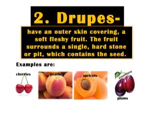 Fruits | PPT