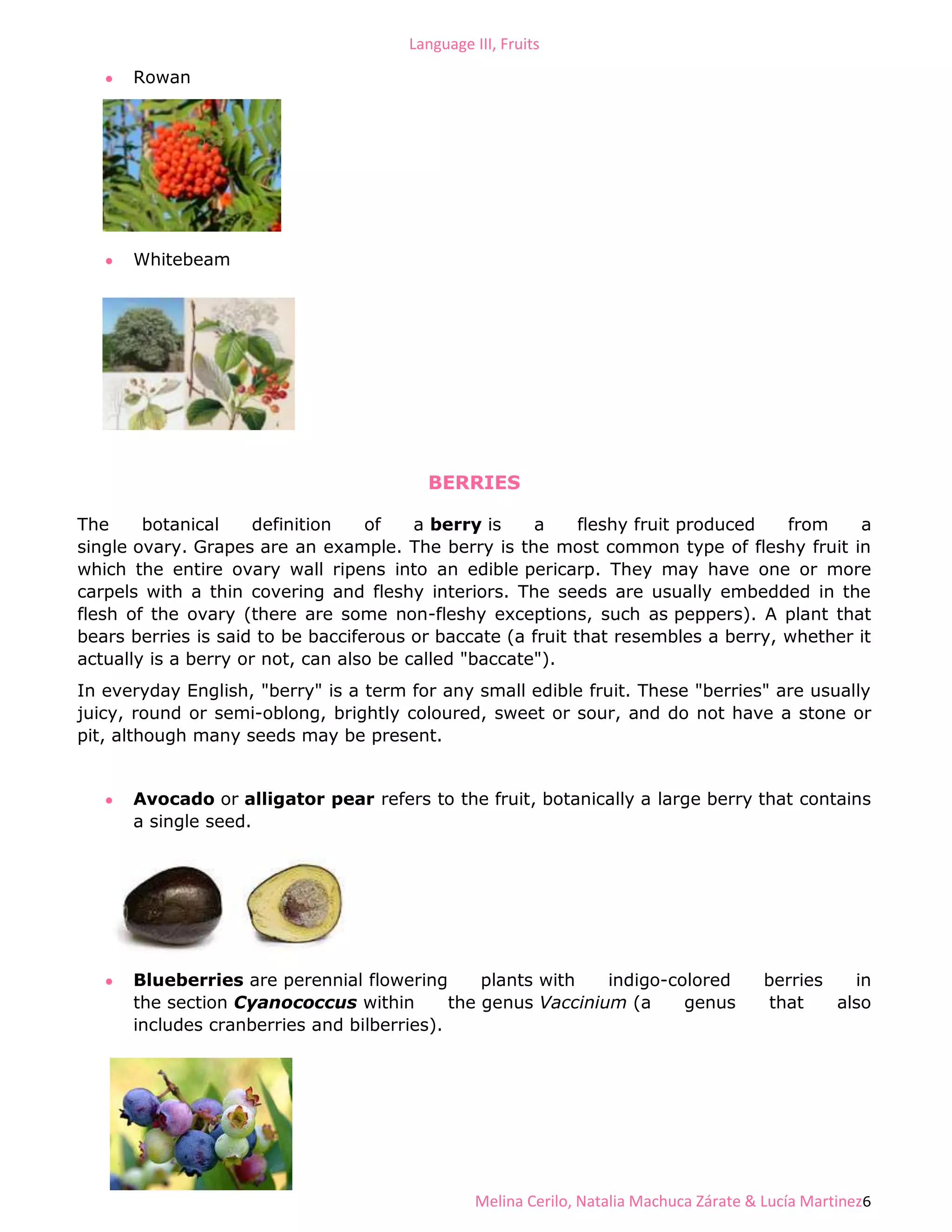 Classification of fruits | DOCX