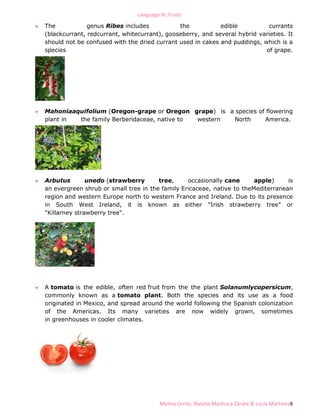 Classification of fruits | DOCX