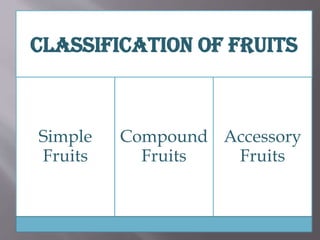 Fruits | PPT