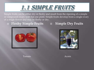 Simple Fruit Examples