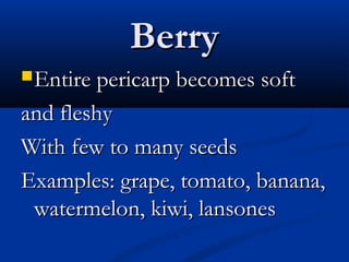 Fruits | PPT