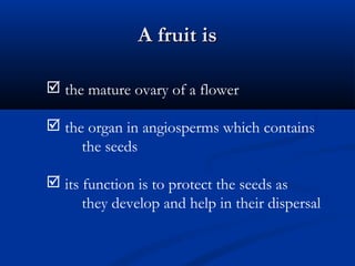 Fruits | PPT