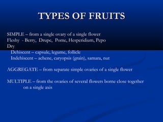 Fruits | PPT