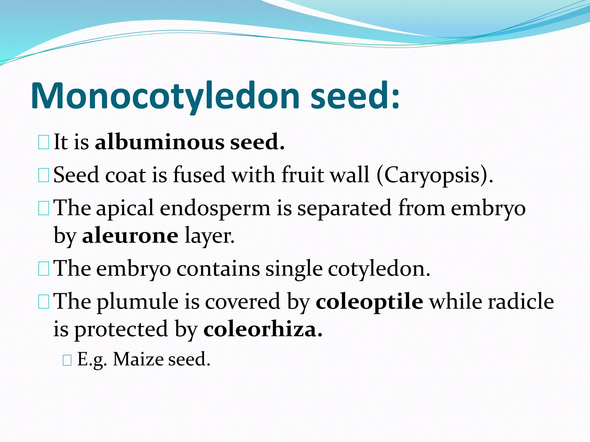 Fruits and Seeds for class 11 std | PPSX
