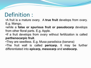 Fruits and Seeds for class 11 std | PPSX
